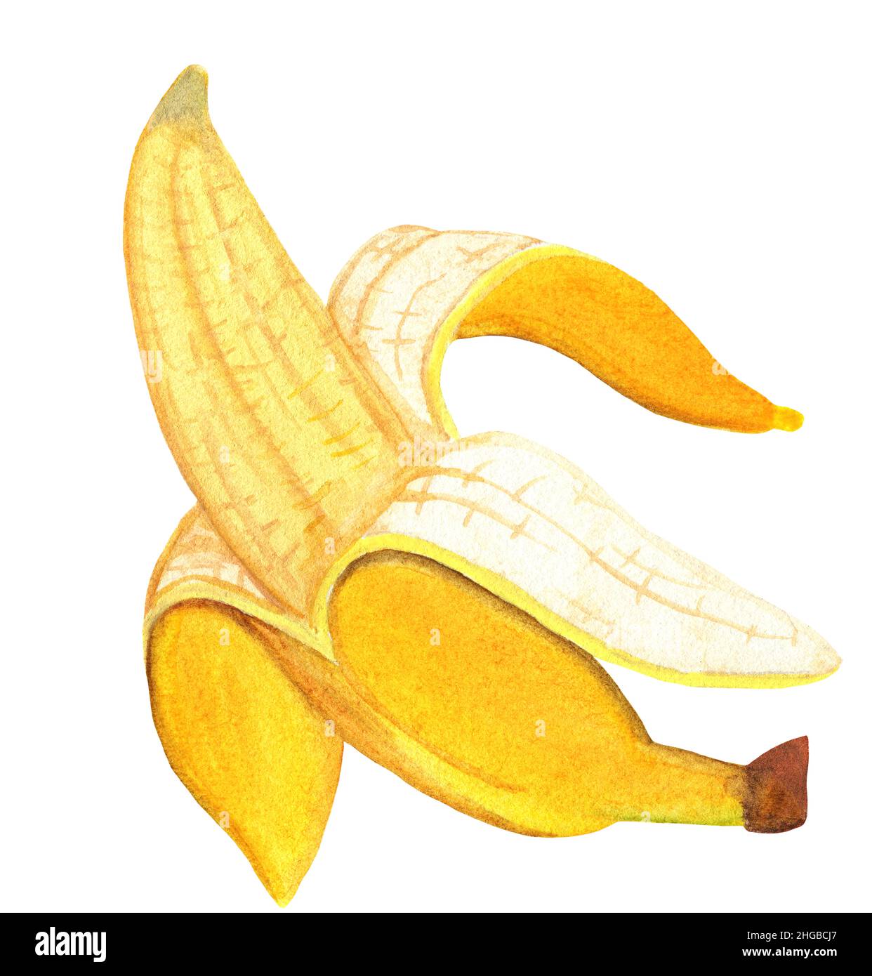 Half peeled banana isolated on white background with open peel and ...