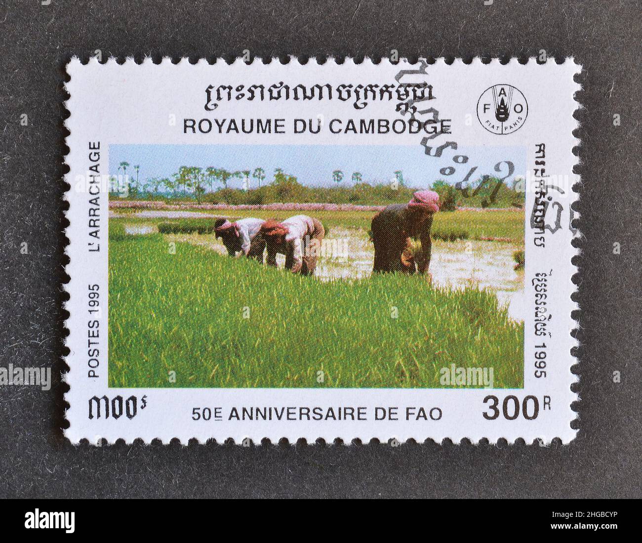 Cancelled postage stamp printed by Cambodia, that shows Farmers, 50th ...