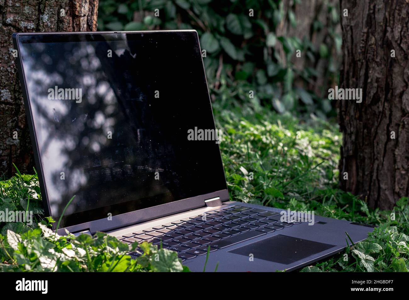 Laptop product shoot out in nature Stock Photo - Alamy