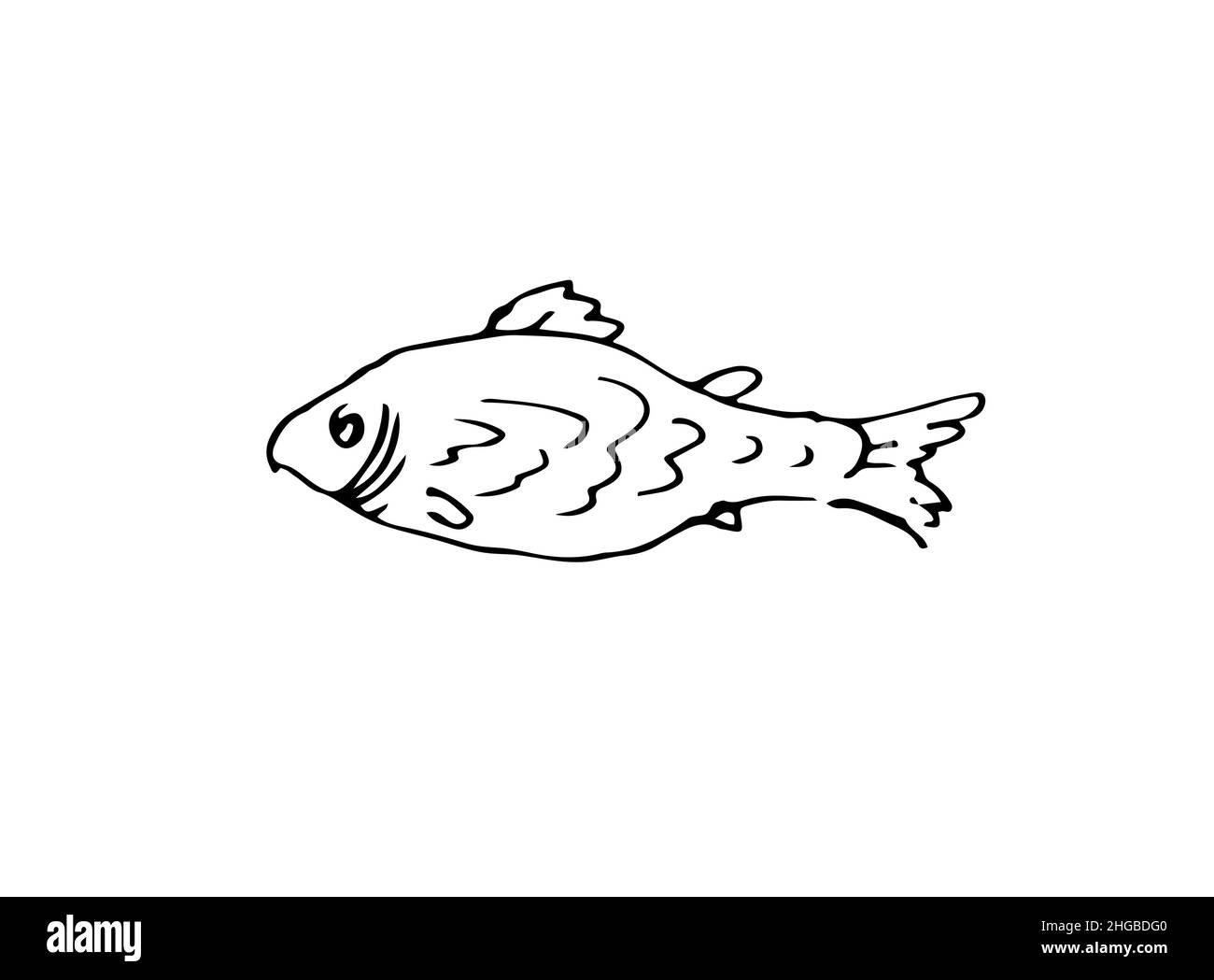 Wild fish. Aquatic animal character. Underwater world. Outline sketch ...