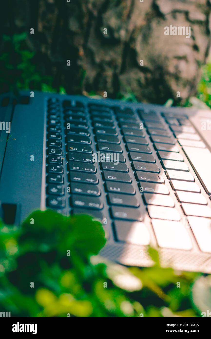 Macro shot of a laptop computer keyboard infront of a log Stock Photo ...