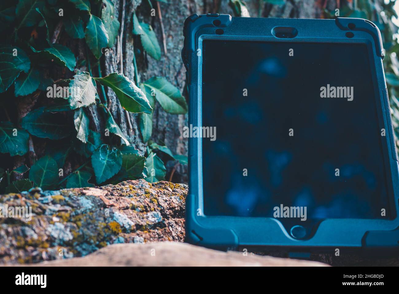 Macro shot of a tablet left propped up against a tree Stock Photo - Alamy