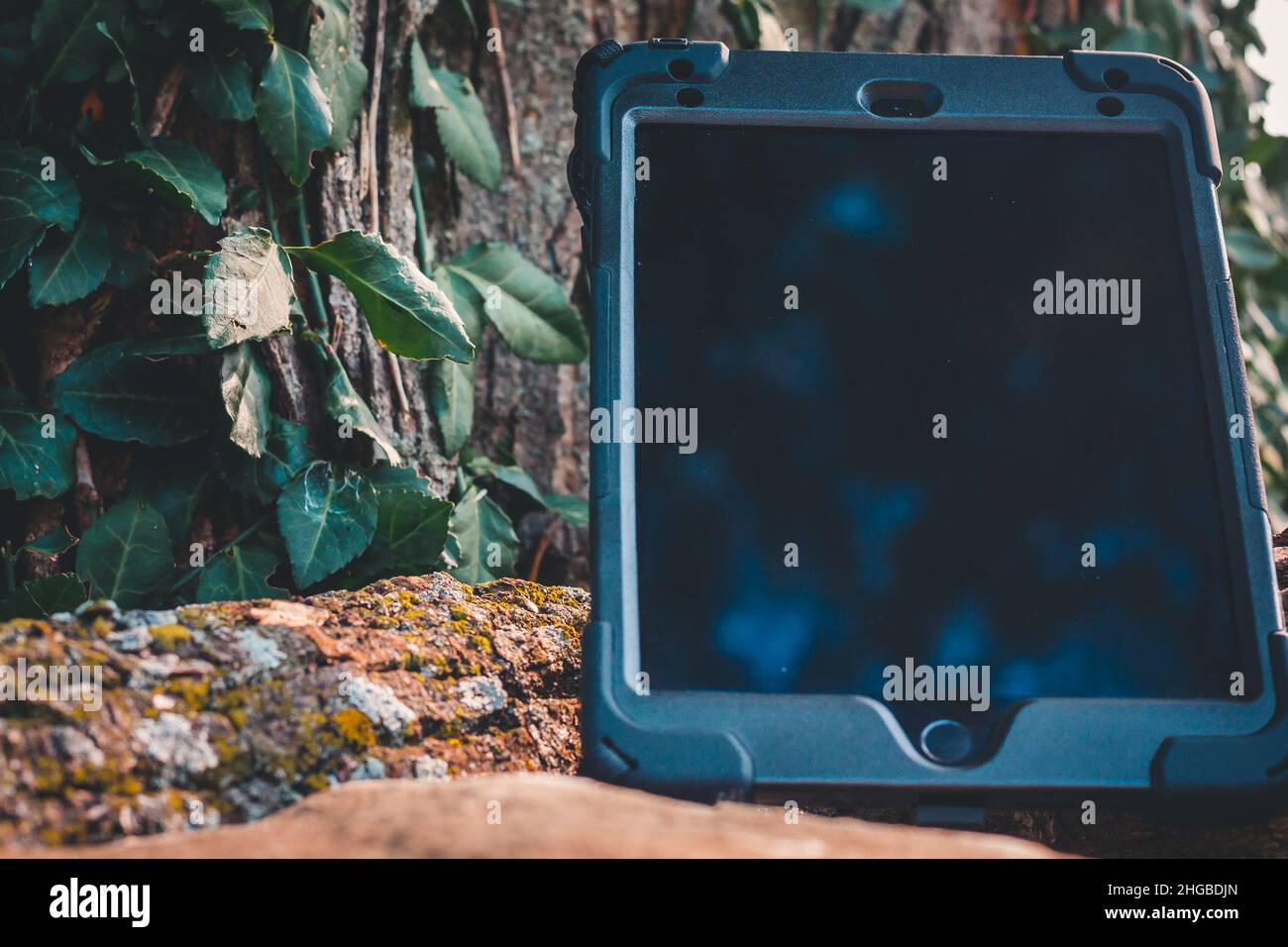 Propped Up Against Tree High Resolution Stock Photography and Images ...