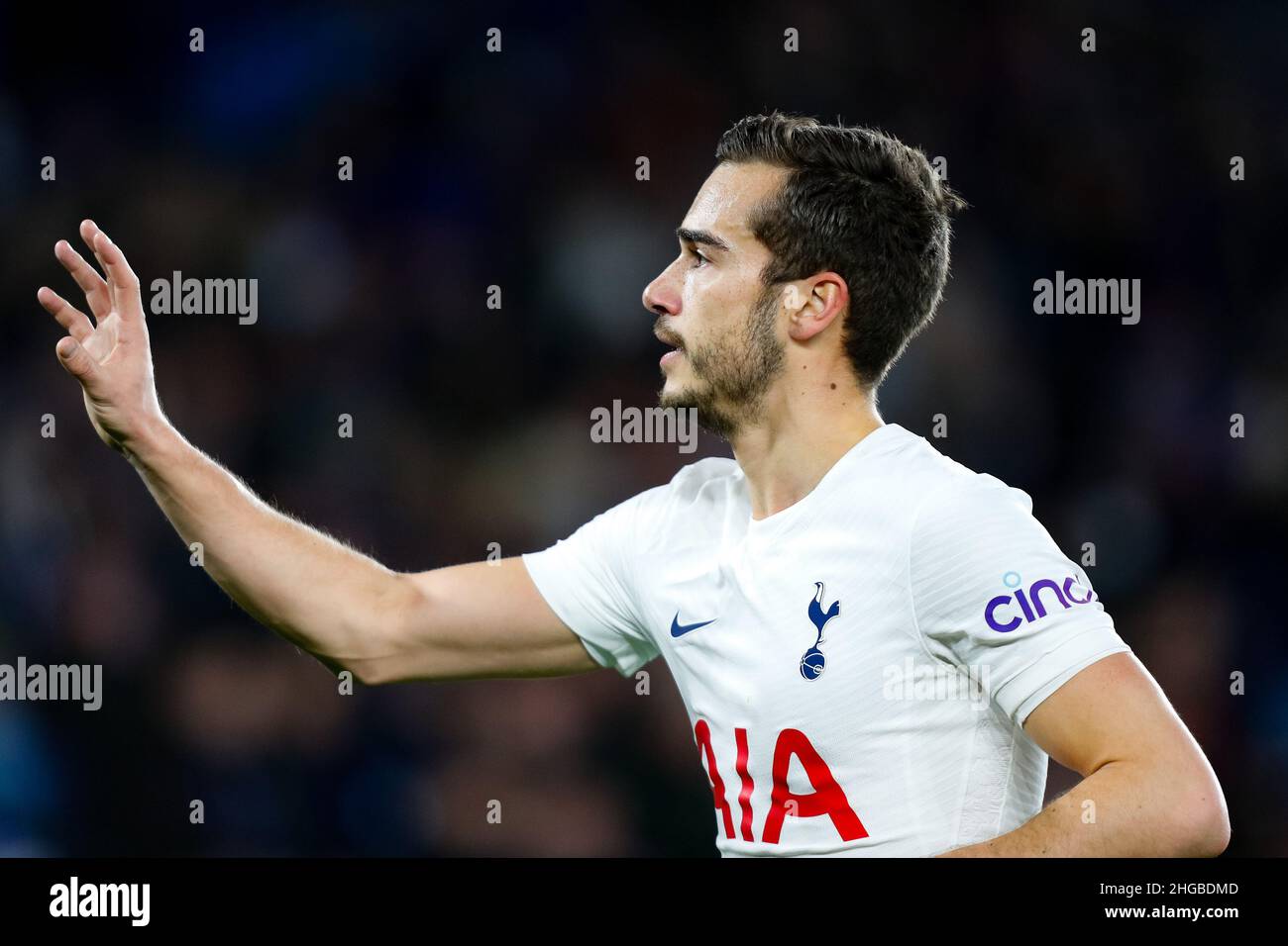 Harry winks 2022 hi-res stock photography and images - Alamy
