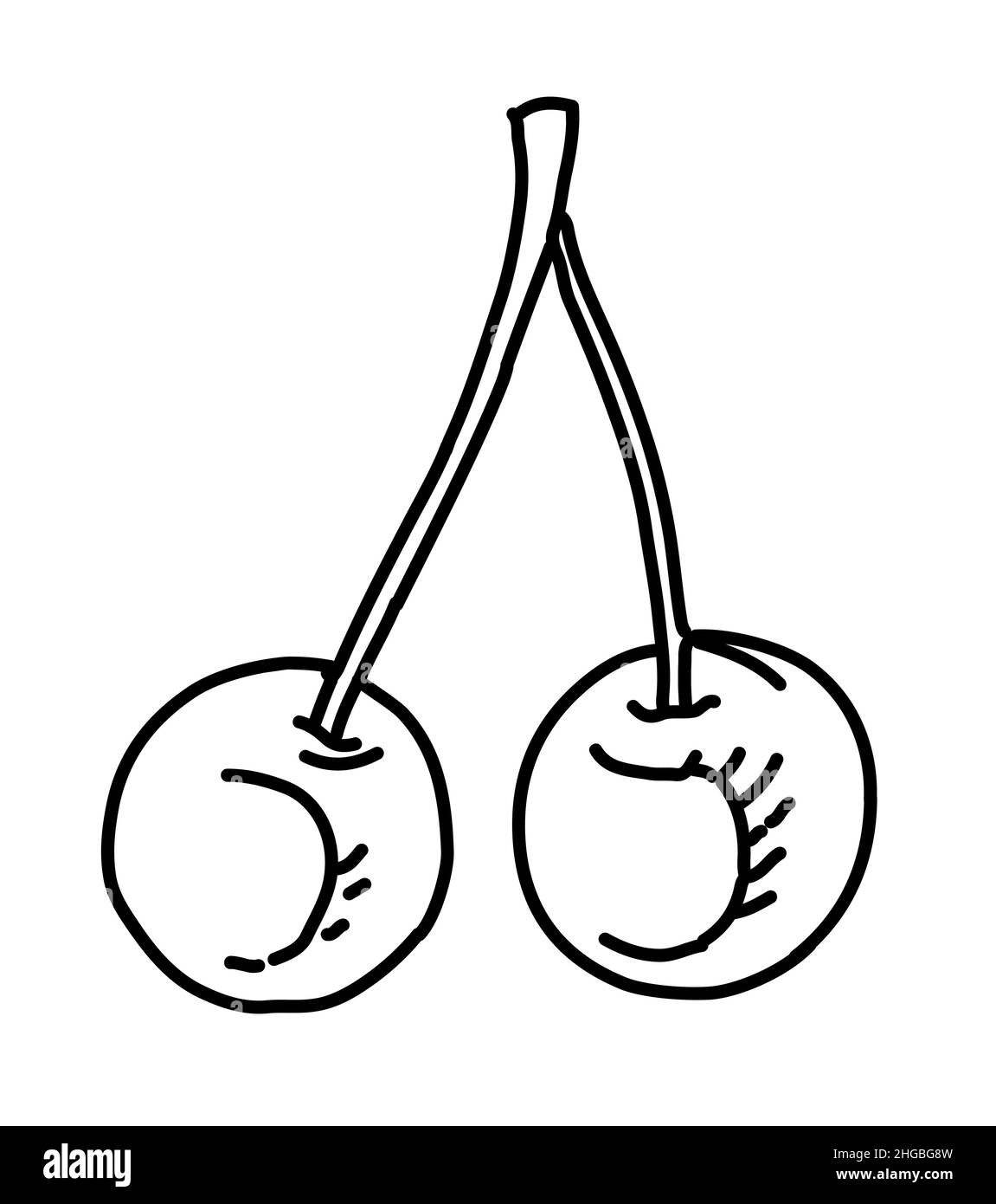 Cherries ripe vegetable. Edible vegetable fruit. Hand drawing outline ...