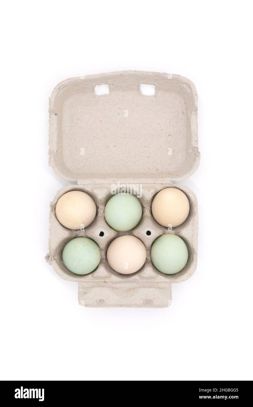 cardboard box of 6 colourful free range farm eggs blue green and brown ...