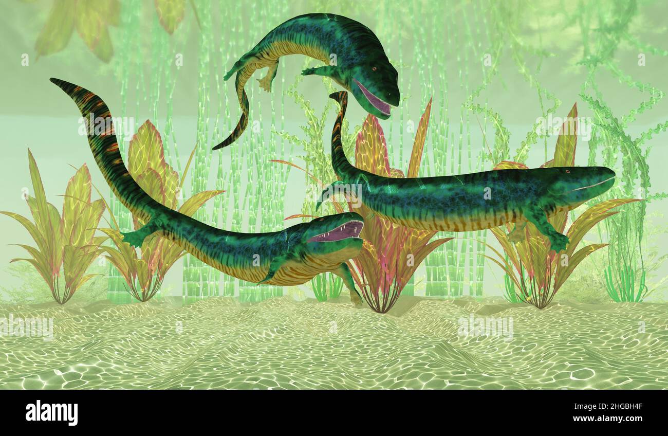 Anthracosaur hi-res stock photography and images - Alamy