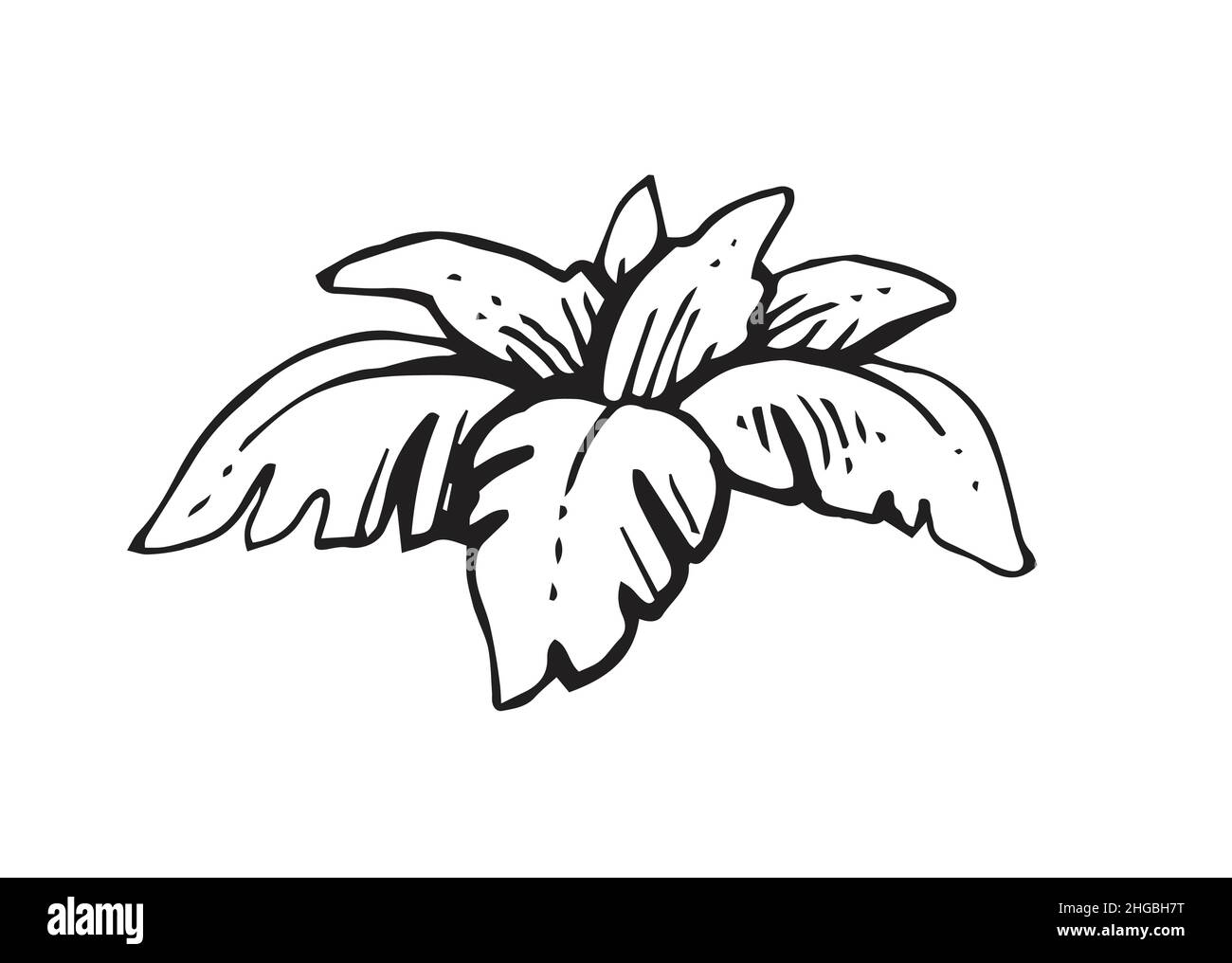 Short drawing Stock Vector Images - Alamy