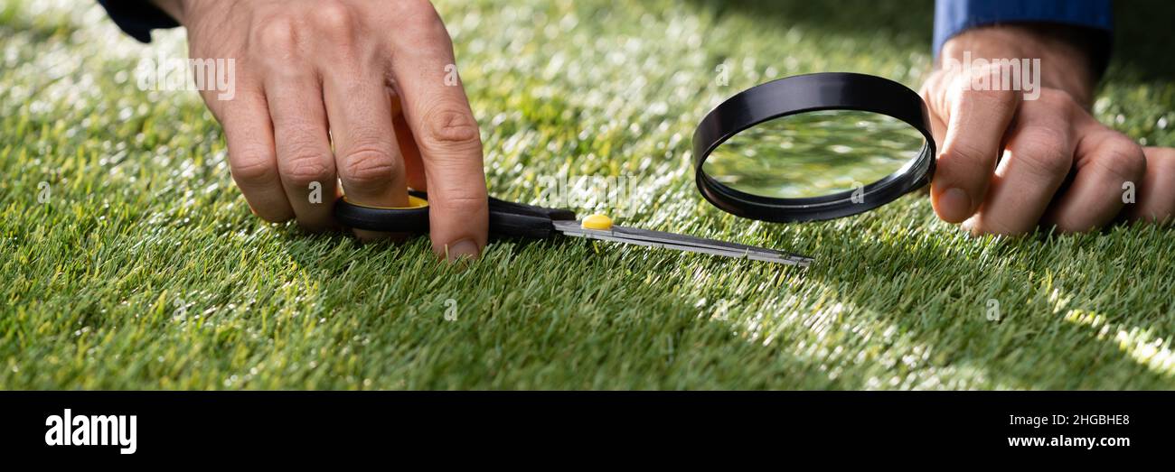 Meticulous Definition