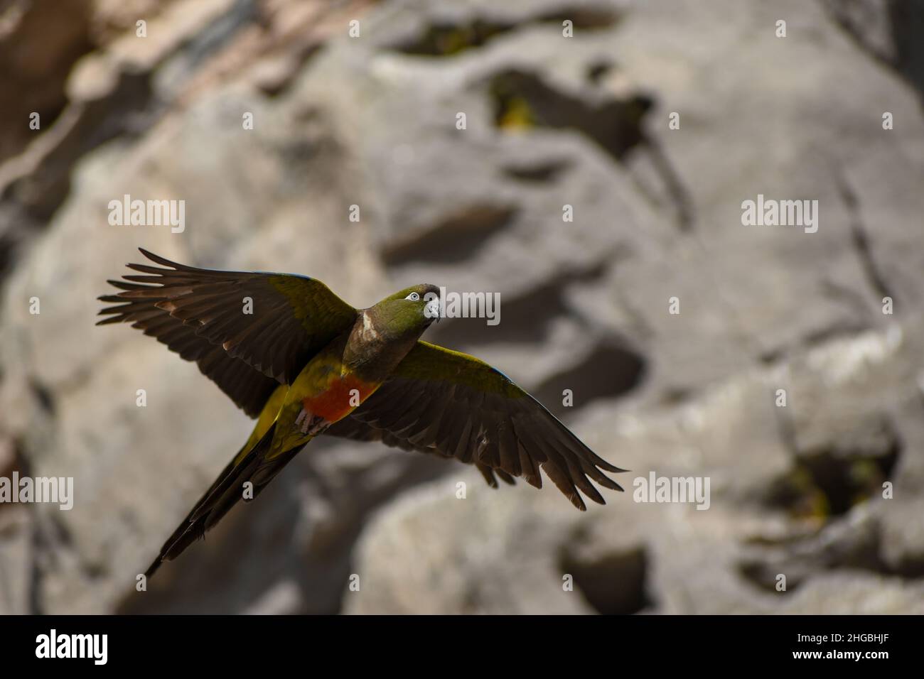 Balneario el condor hi-res stock photography and images - Alamy