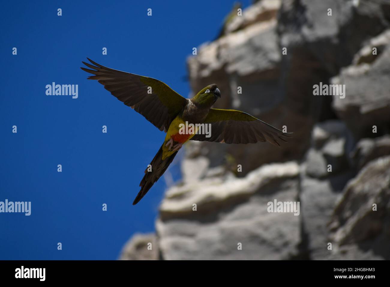 Balneario el condor hi-res stock photography and images - Alamy