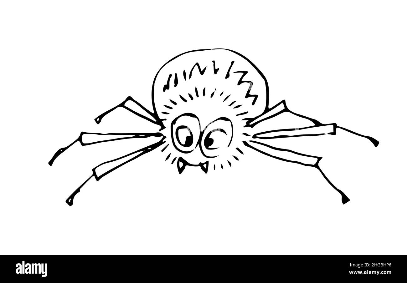 Spider funny. Cheerful wild animal. A comical character. Outline sketch ...
