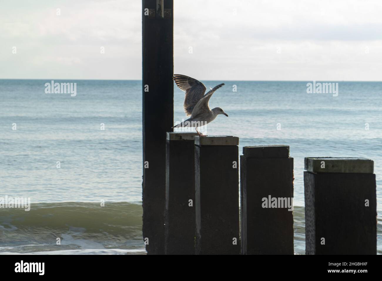 Beach Groin High Resolution Stock Photography and Images - Alamy