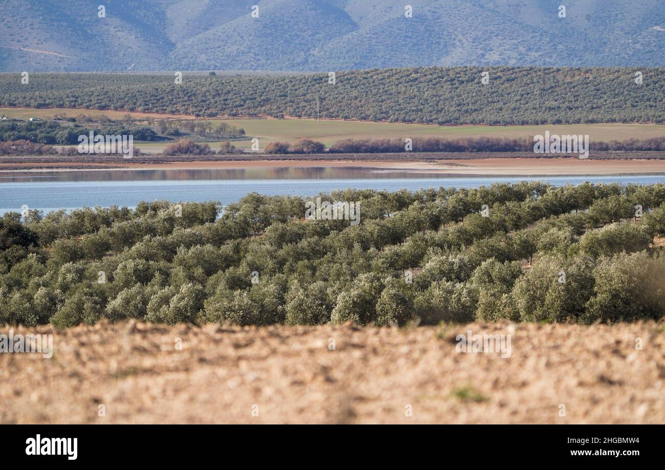 Fuente de Piedra, nature reserve, lagoon, salt water lagoon, winter ...