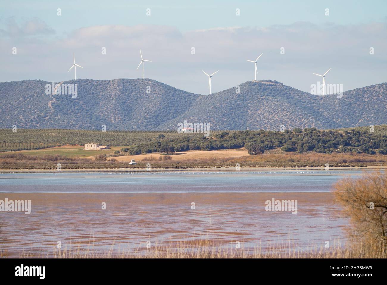 Fuente de Piedra, nature reserve, lagoon, salt water lagoon, winter ...