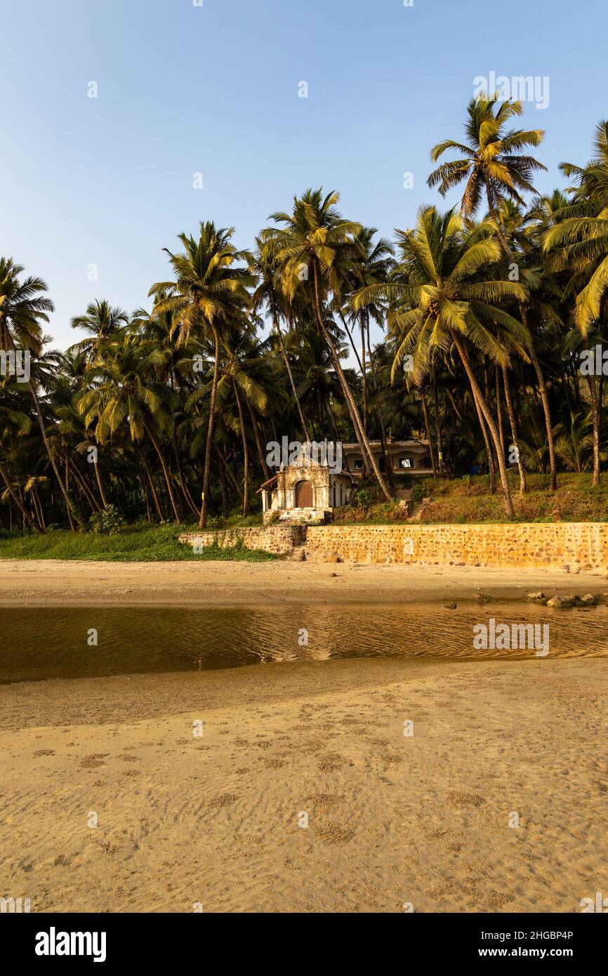 Beautiful view of a tiny chapel situated between tall coconut palm ...