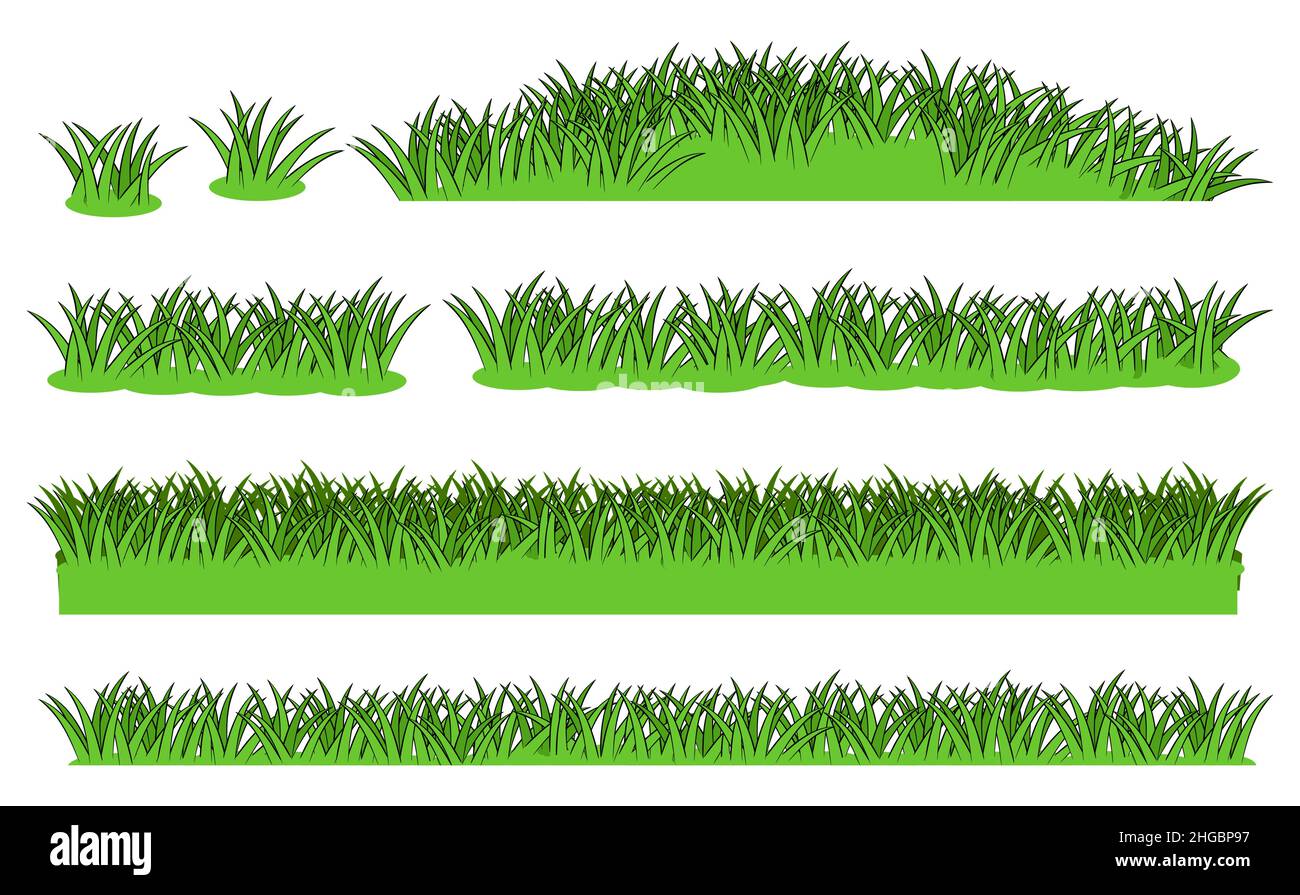Set of Grass close-up. Green summer landscape. Rural pasture meadow ...