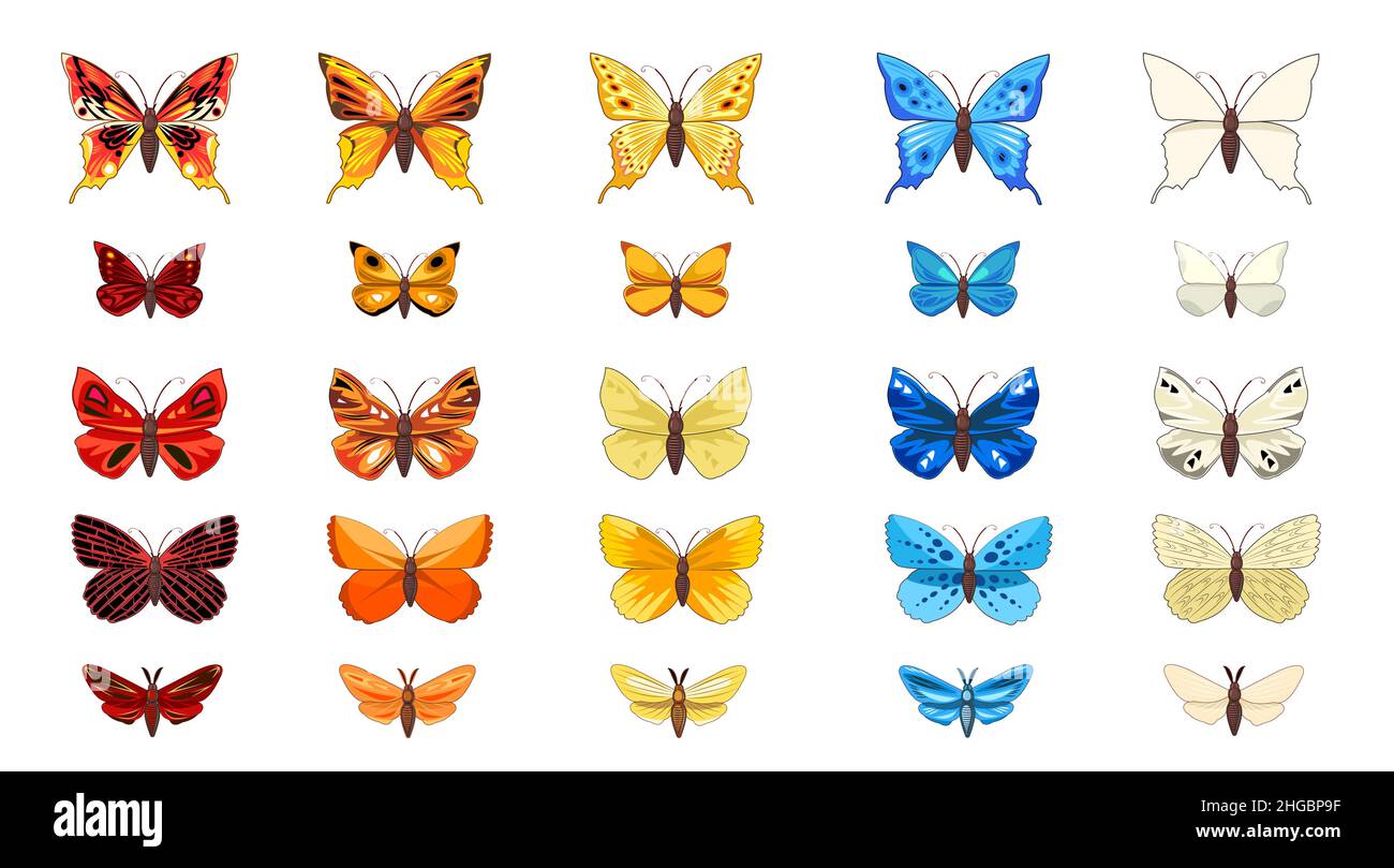 Insects in the summer Cut Out Stock Images & Pictures - Alamy