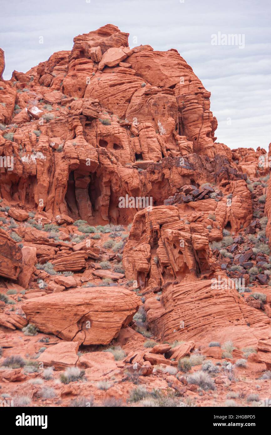 Overton, Nevada, USA - February 24, 2010: Valley of Fire. Closeup ...
