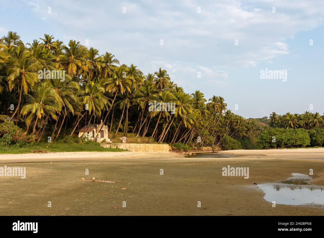 Beautiful view of a tiny chapel situated between tall coconut palm ...