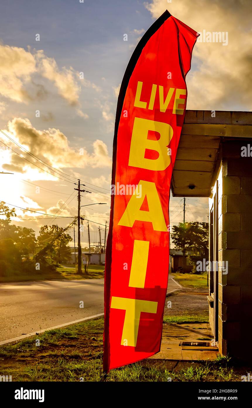 Live bait banner hi-res stock photography and images - Alamy