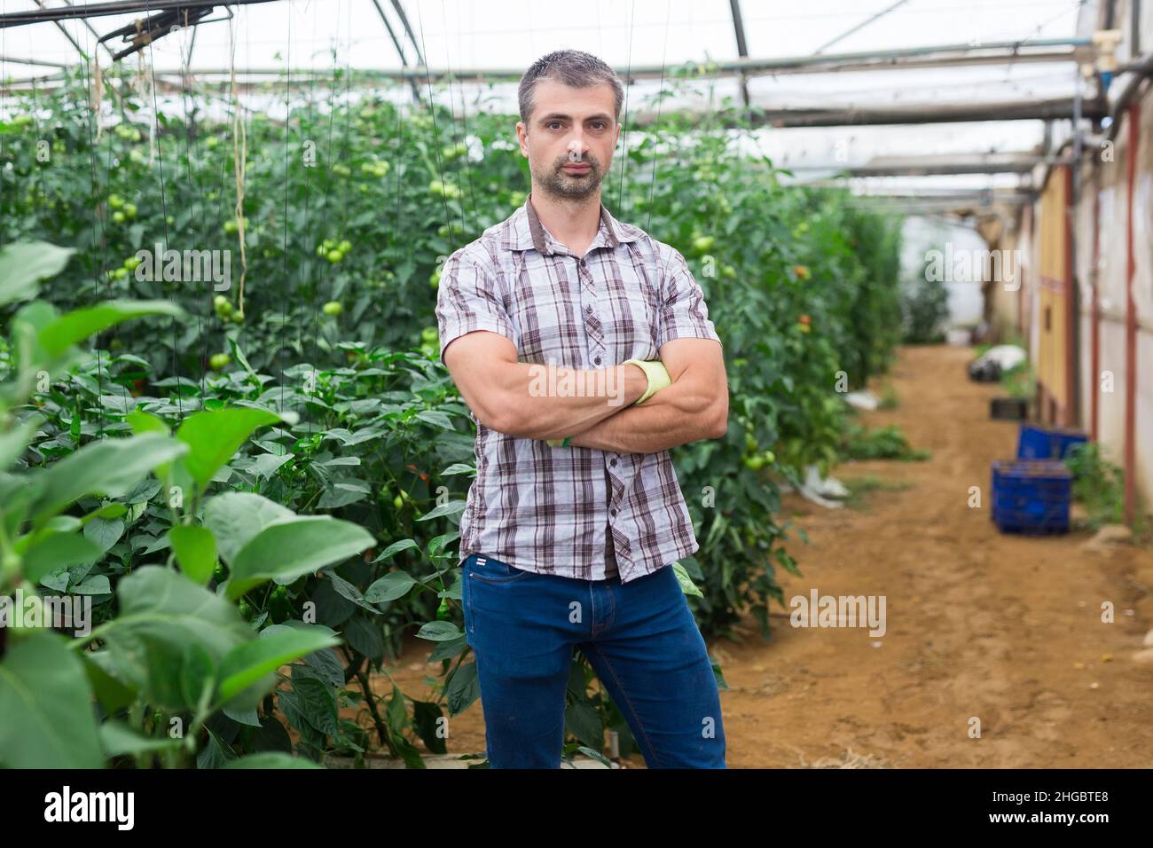 Portrait of farm owner with arms crossed in greenhouse Stock Photo - Alamy