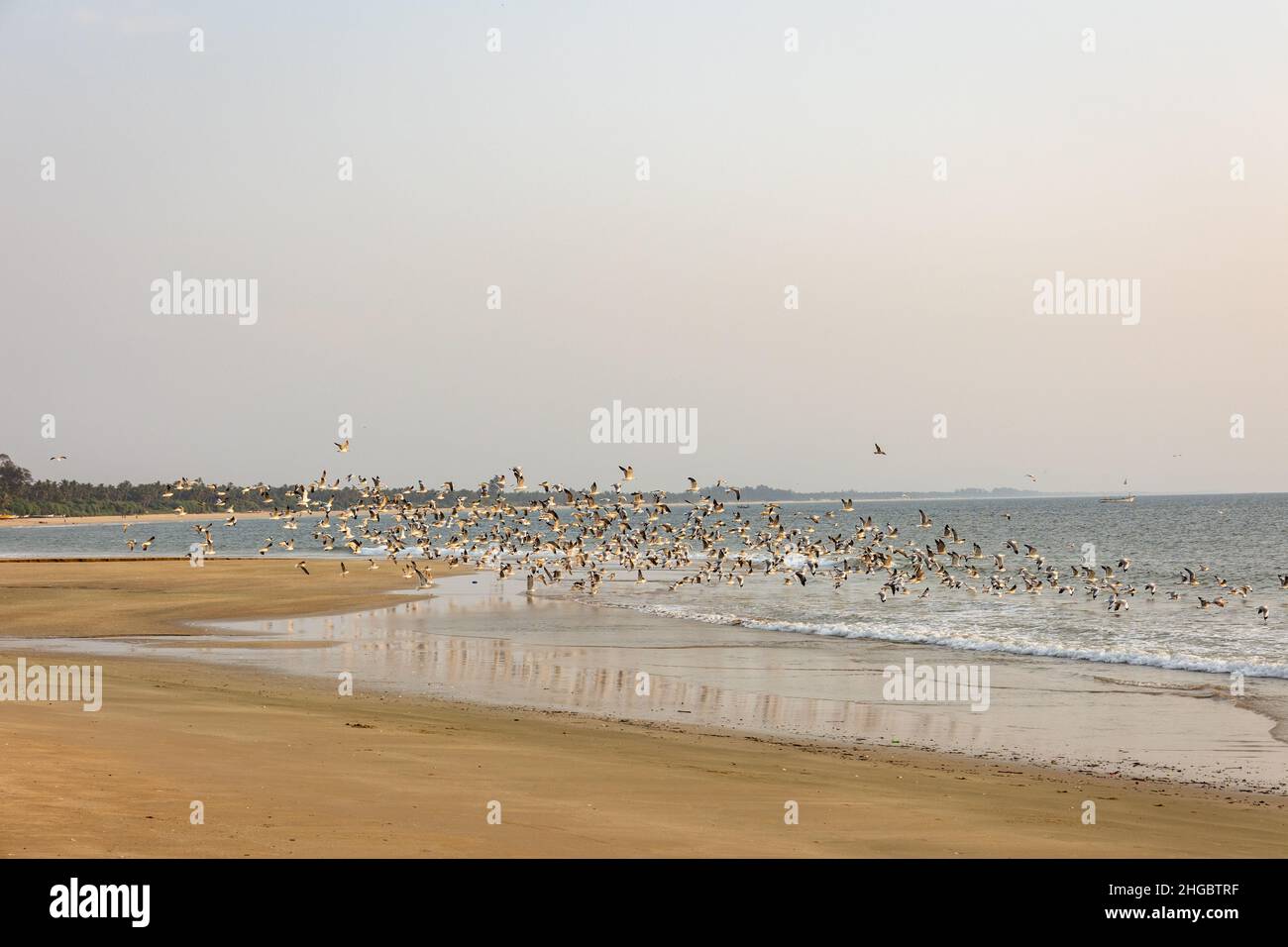 Velsao beach hi-res stock photography and images - Alamy