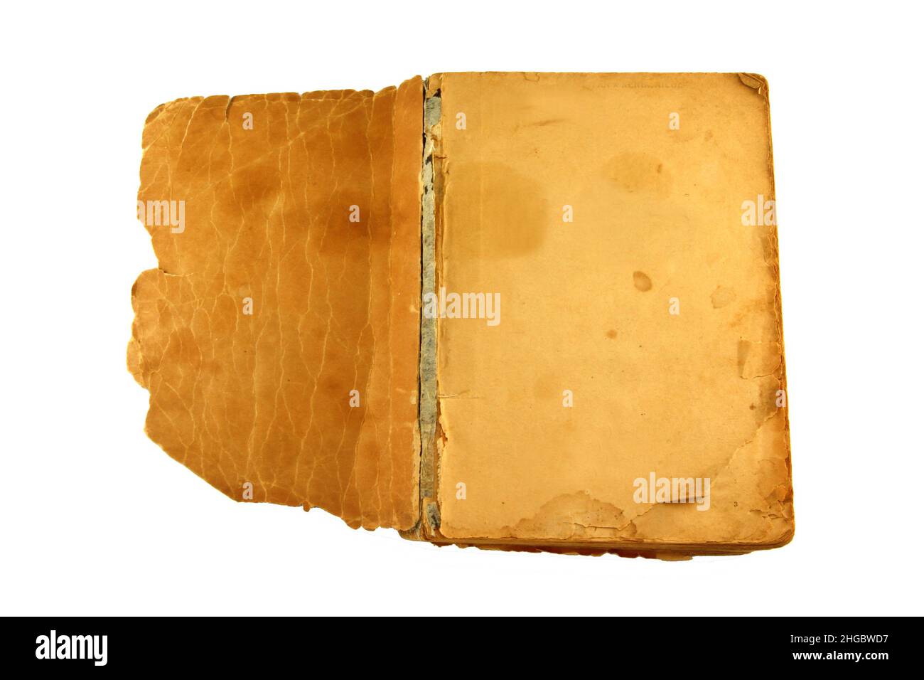 Vintage book with ripped, yellow pages, isolated on white Stock Photo ...