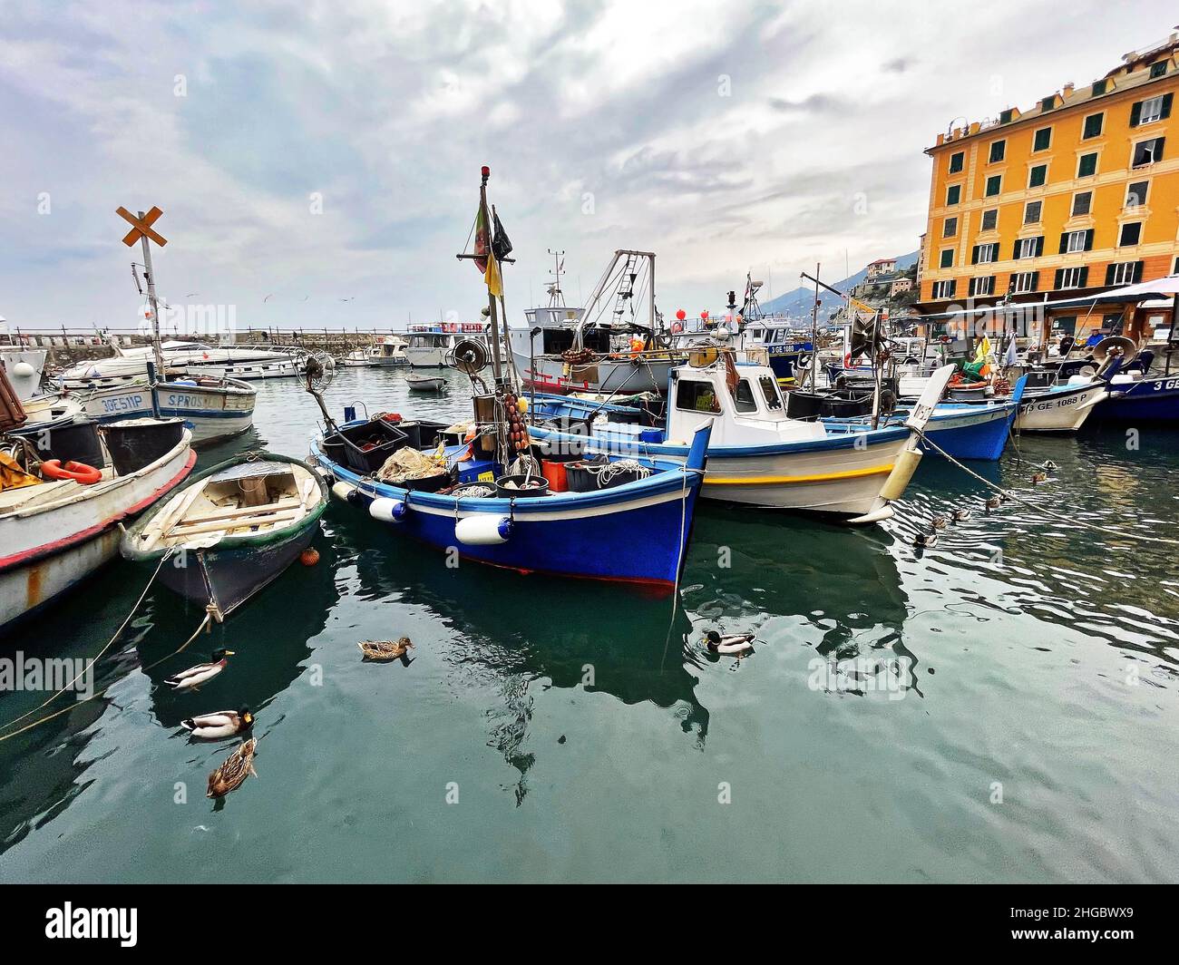 Boat tour cinque terre hi-res stock photography and images - Alamy