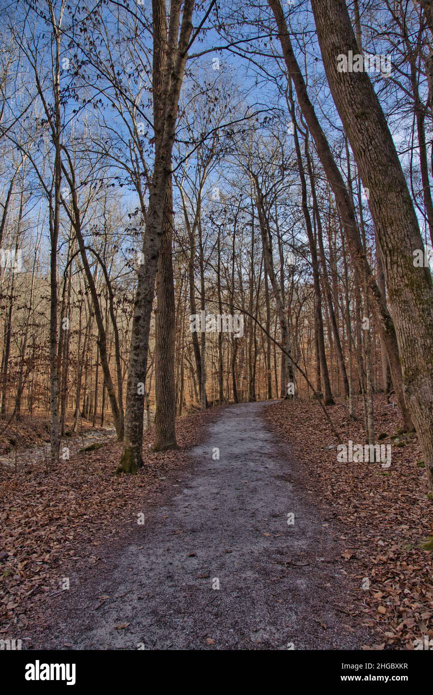 Ponca Wilderness, Arkansas Stock Photo - Alamy