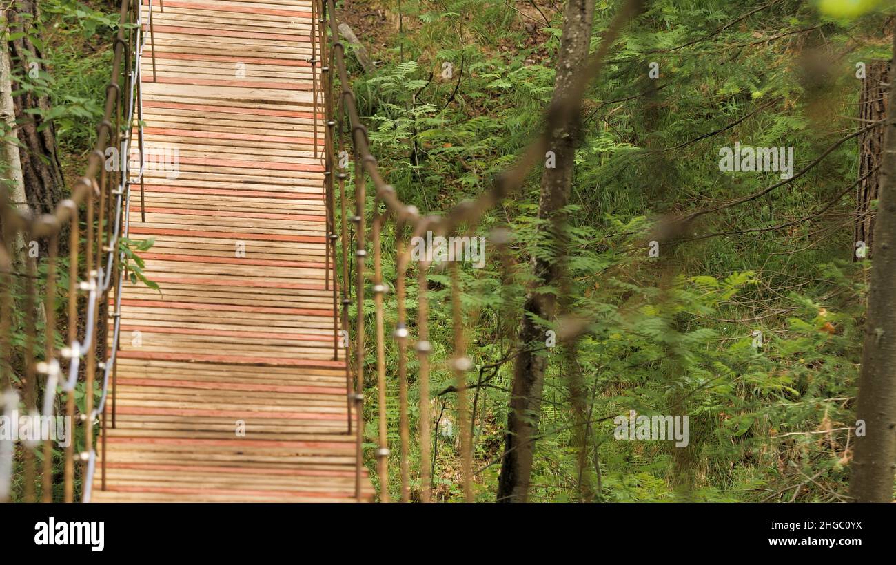 View on empty wooden suspension bridge in the forest in the National ...