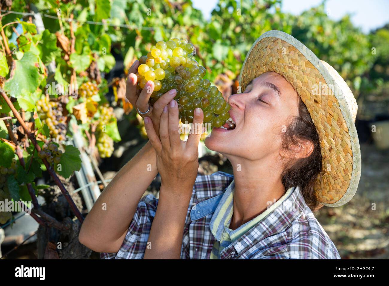 Young woman eating ripe grape in farm and smiling Stock Photo - Alamy