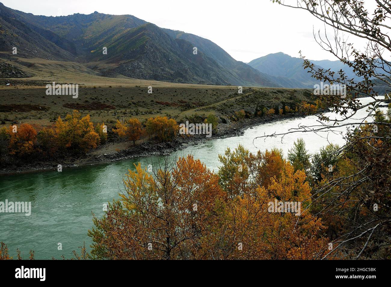 A look through the bushes yellowed from autumn at a beautiful river ...