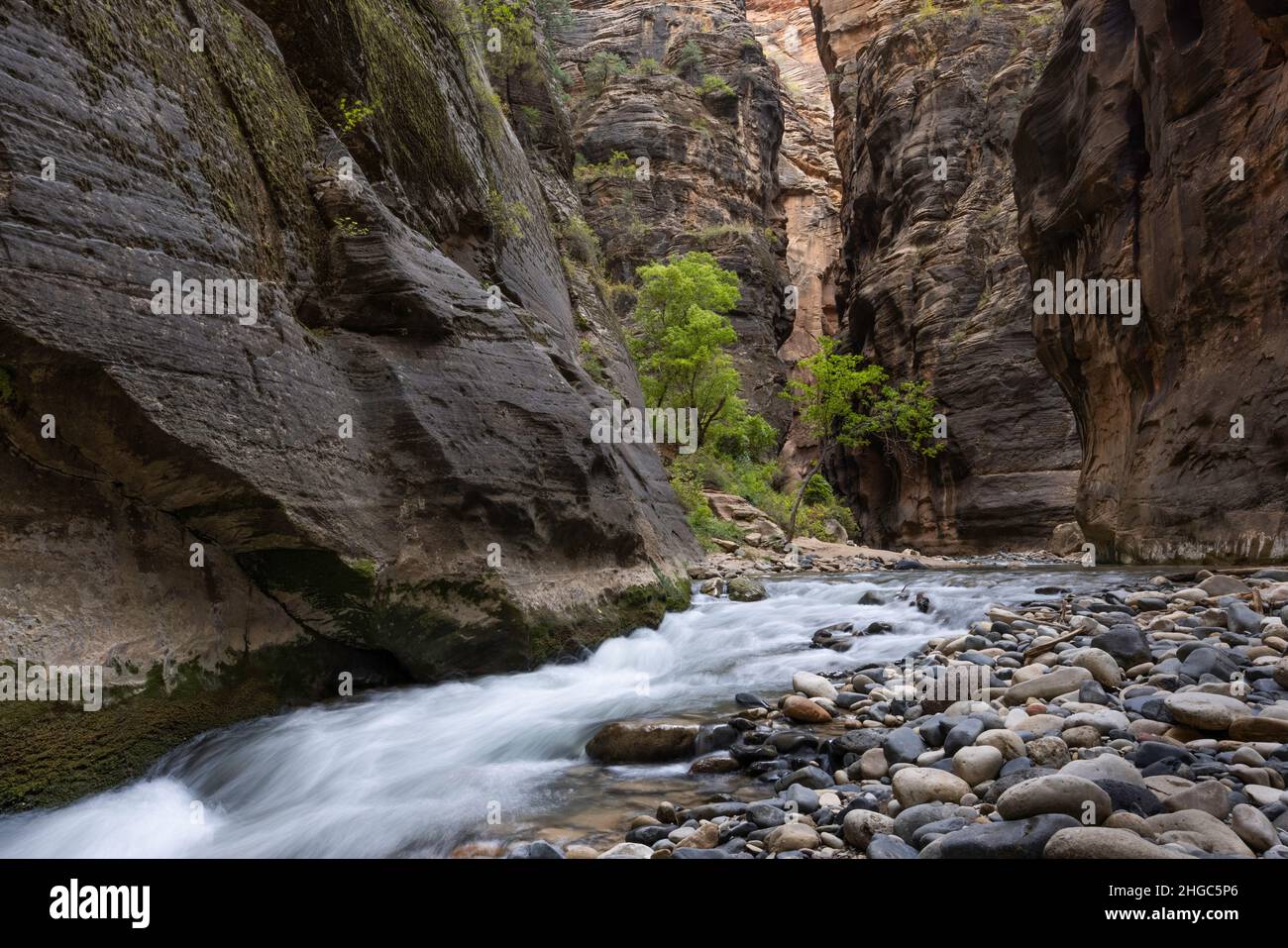 Virgin river narrows hi-res stock photography and images - Alamy