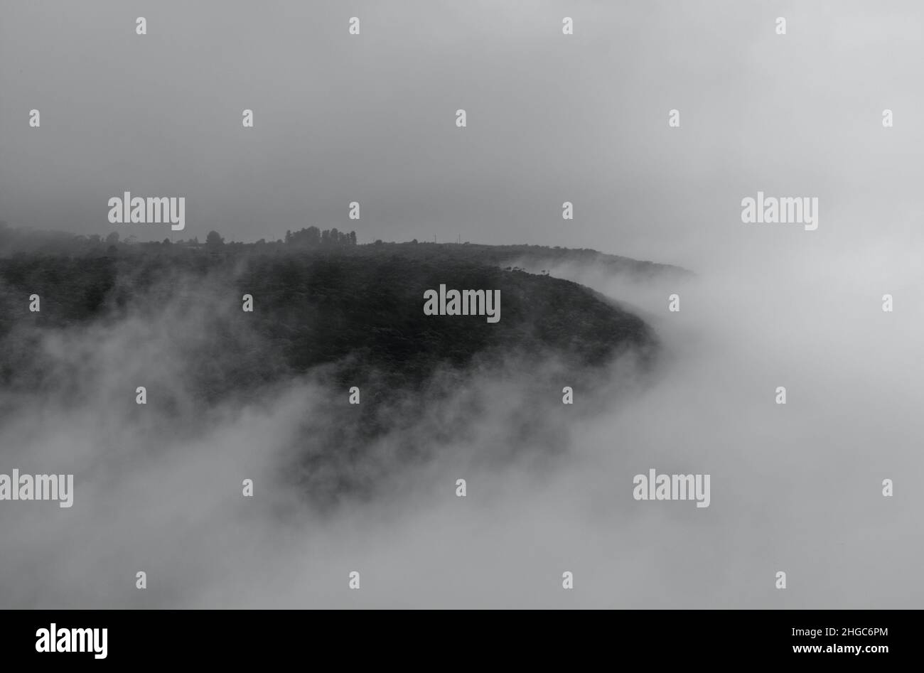 a blue mountains NSW Australia cliff face covered in fog Stock Photo ...