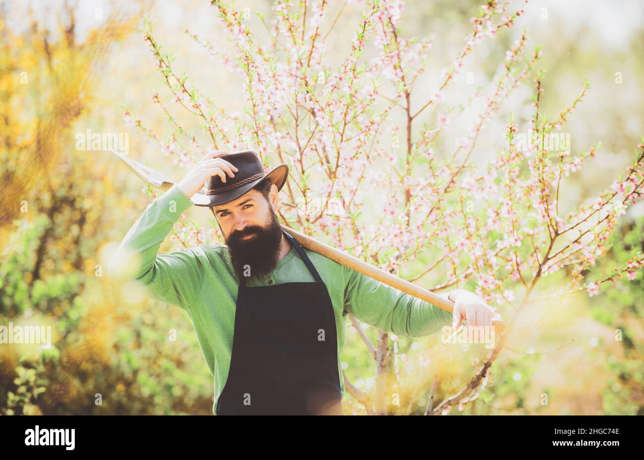 Man working in garden near flowers garden Stock Photo - Alamy