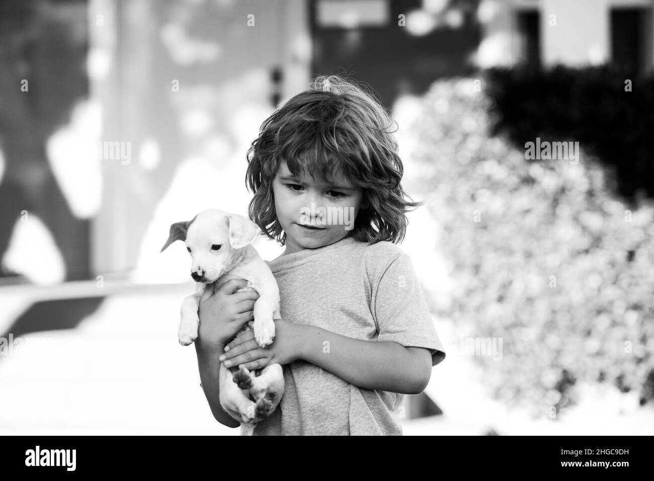 Cute kid and puppy playing outside. Pet care, kid puppy Stock Photo - Alamy
