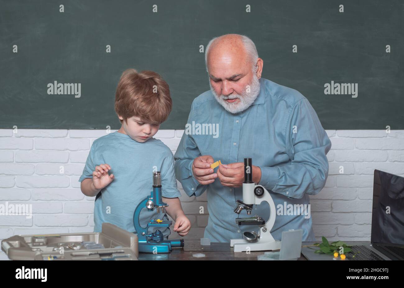 Biology experiment. Little kids scientist earning Biology in school lab ...
