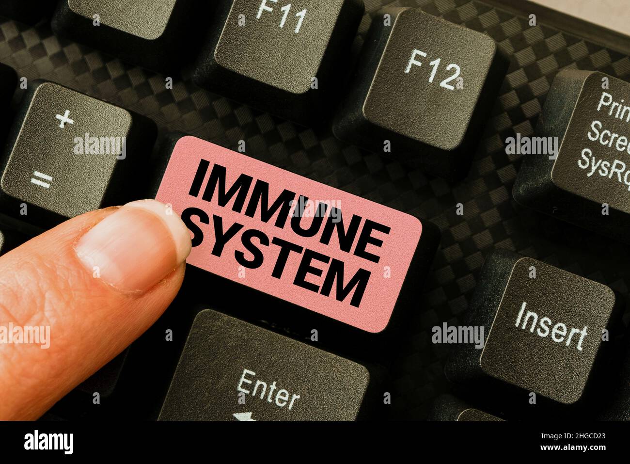 Conceptual display Immune System. Business overview Complex network ...