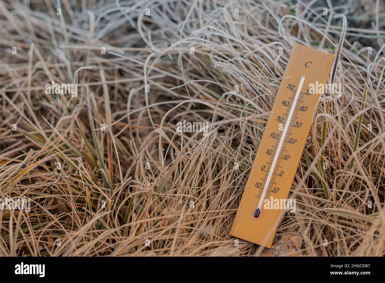 Thermometer lying on the frozen grass showing temperatures around zero ...