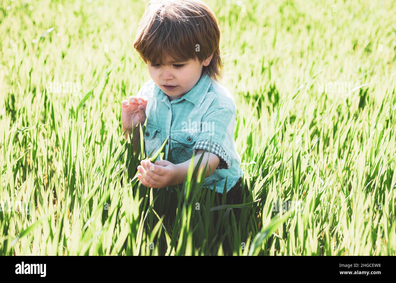 Farming and agriculture cultivation. Spring gardening routine. Portrait ...