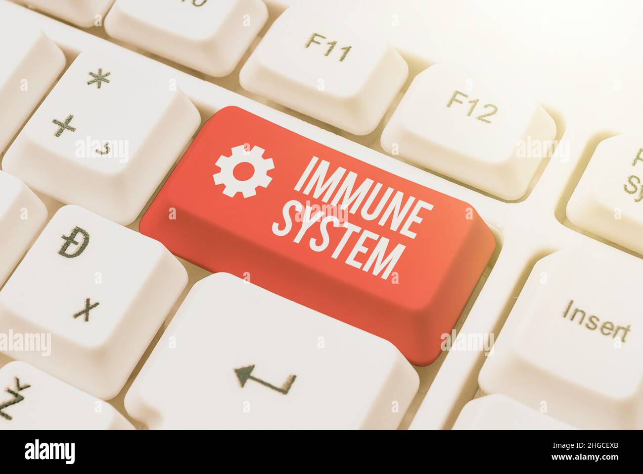 Text showing inspiration Immune System. Business overview Complex ... Text showing inspiration Immune System. Business overview Complex ...