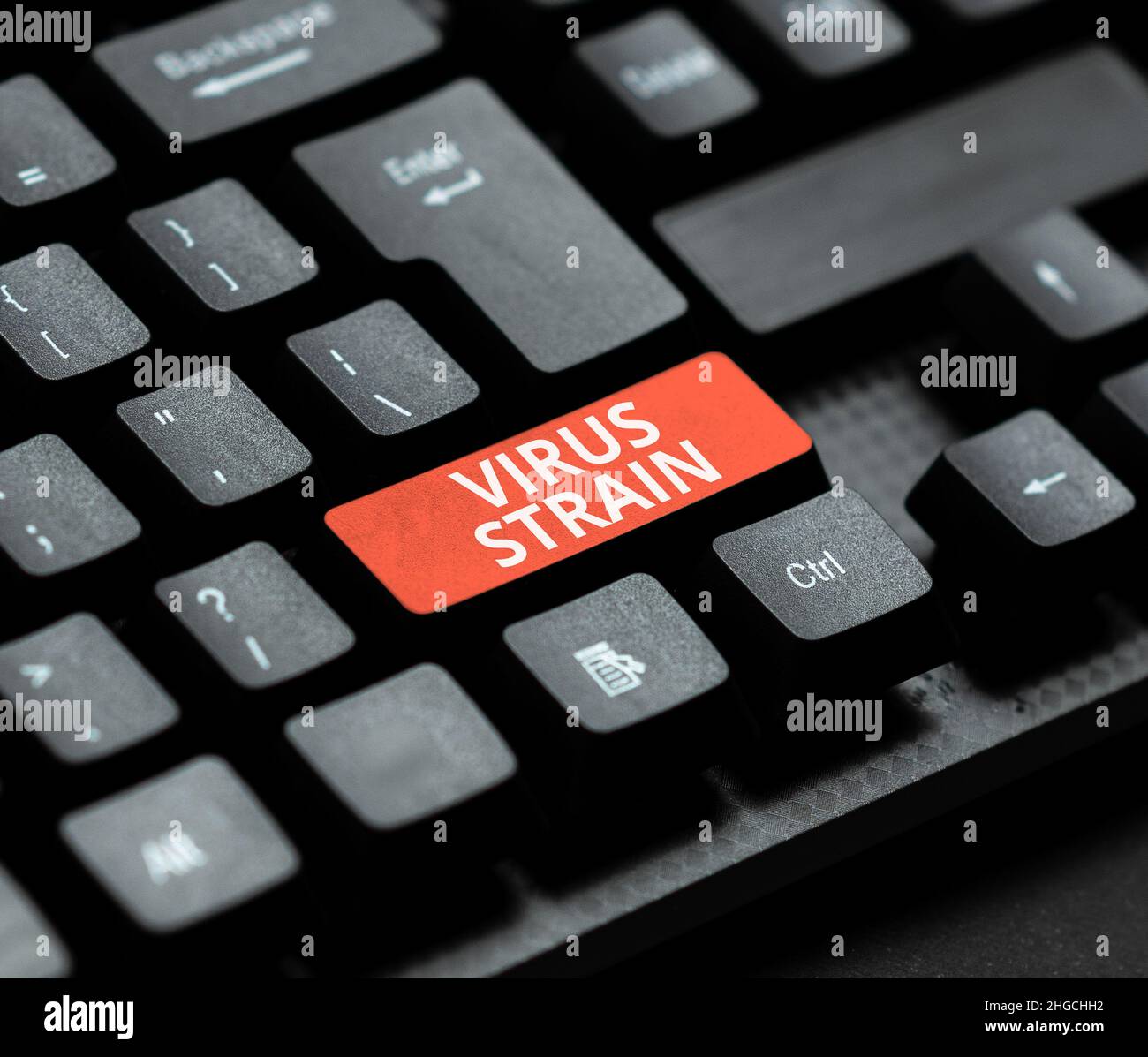 Text sign showing Virus Strain. Word for Another genetic variant ...