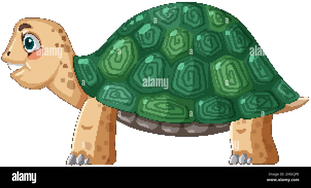 Animated Turtle Shell