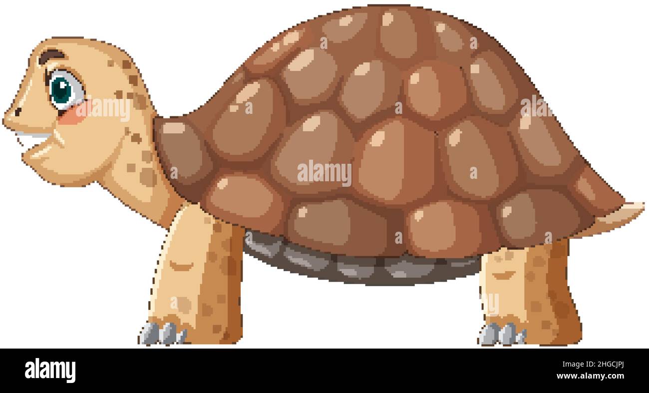 Side view of tortoise with brown shell in cartoon style illustration ...