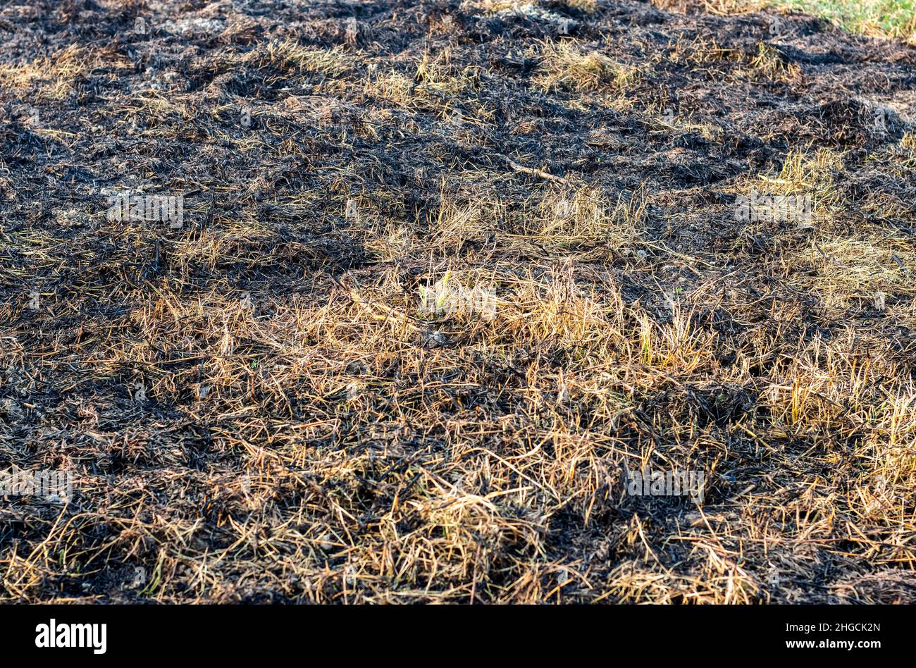 Dry agricultural land hi-res stock photography and images - Alamy