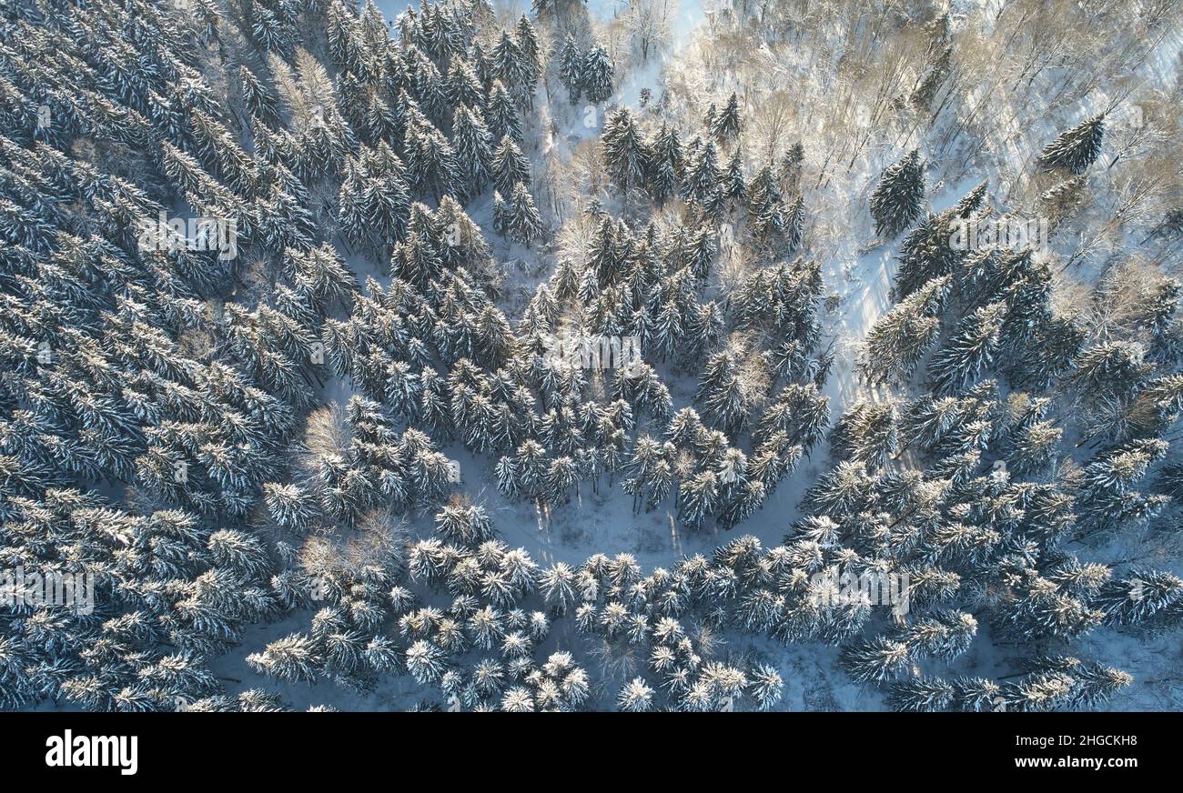 High above the forest hi-res stock photography and images - Alamy