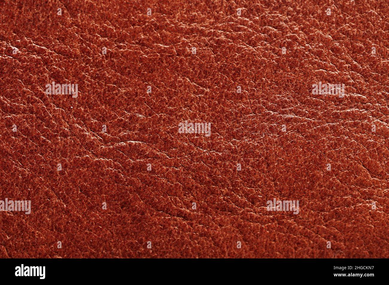 Structure of brown color leather surface macro close up view Stock Photo - Alamy