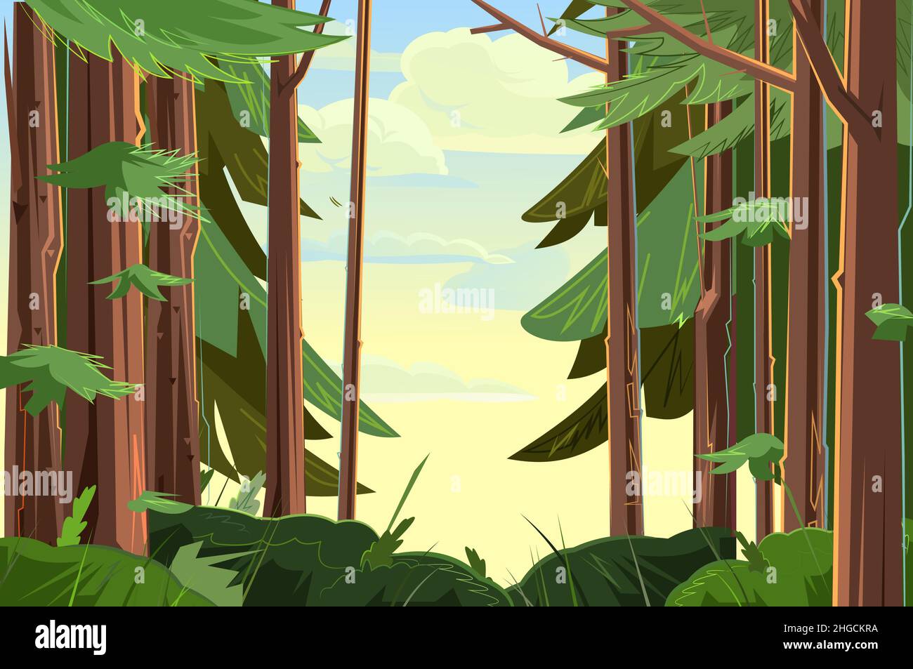 Beautiful forest landscape. Tree trunks and pine branches. Beautiful ...