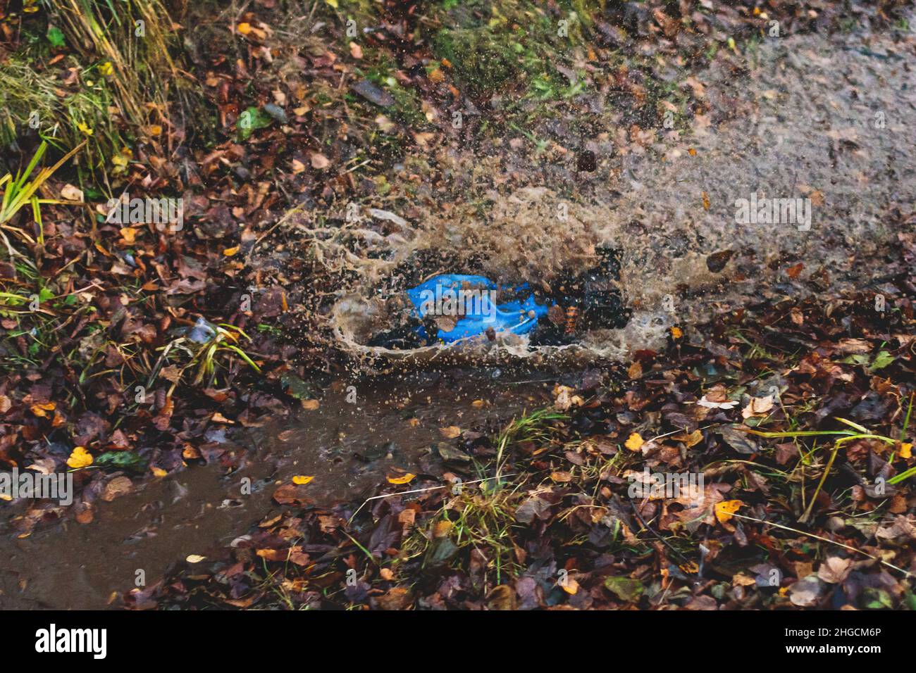 Radio controlled buggies cars race, process of rc wireless model toy ...